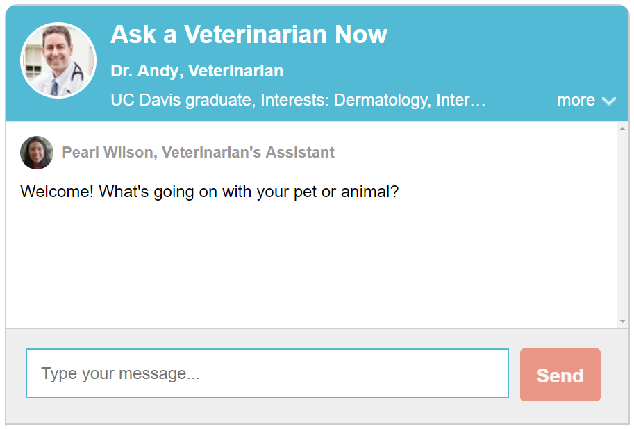 JustAnswer graphic | the meowing vet