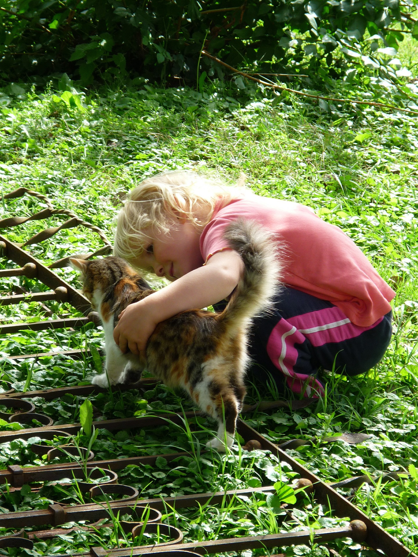 Kids and Cats: 10 Tips to Promote Bonding – a collaboration with Great ...